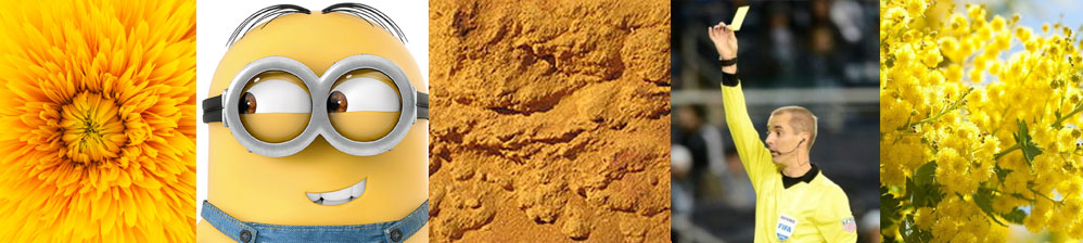 Et si on vous en faisait voir de toutes les couleurs : le jaune | Piu